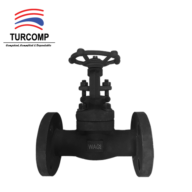 Wagi Valve – Turcomp Engineering Services Sdn. Bhd.