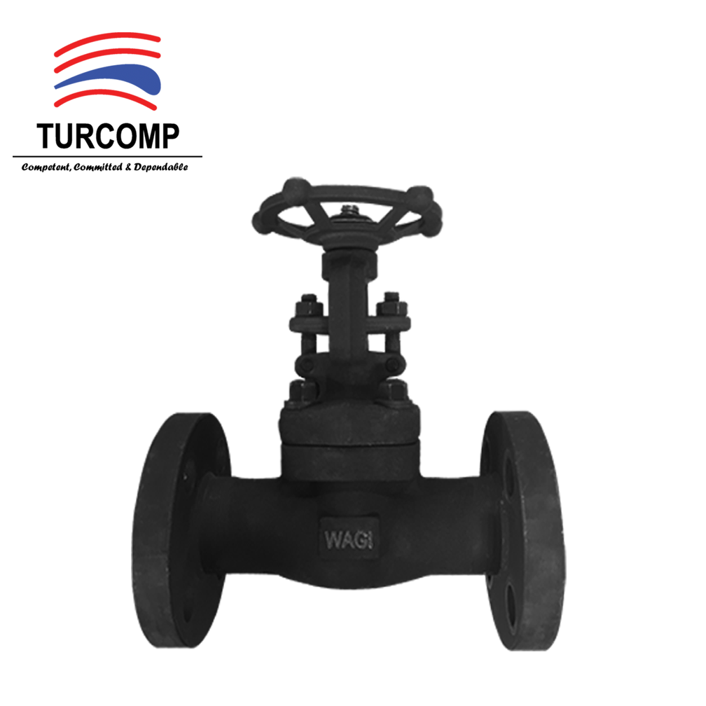 Wagi Gate Valve | Wagi Valves – Turcomp Online Store