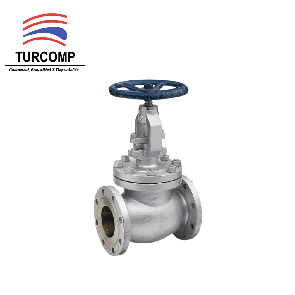 GLOBE VALVES | HANKOOK VALVE – Turcomp Online Store