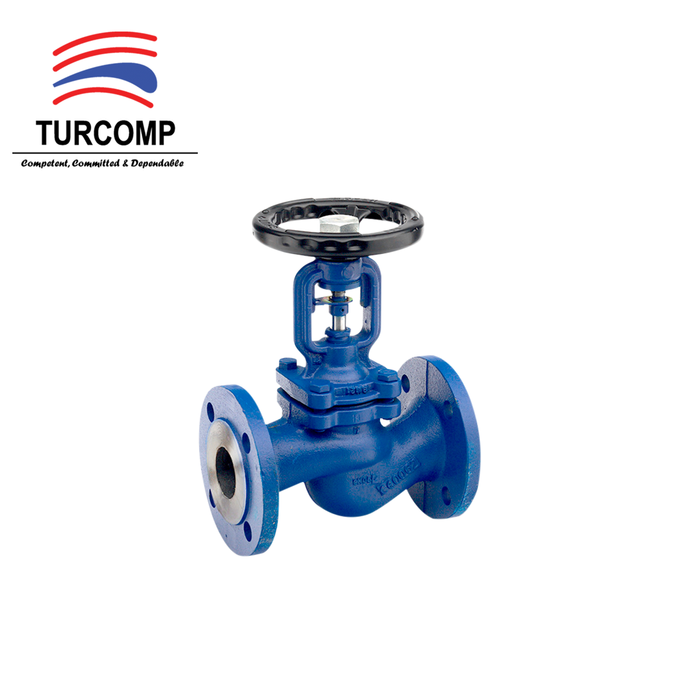 GLOBE VALVE | VARIMEX – Turcomp Online Store