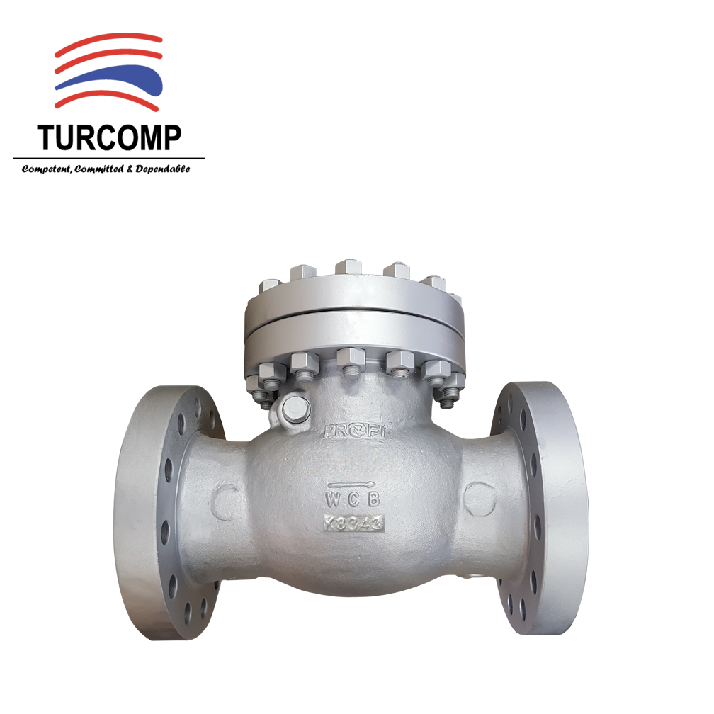 API 6D Profi Check Valve – Turcomp Online Store