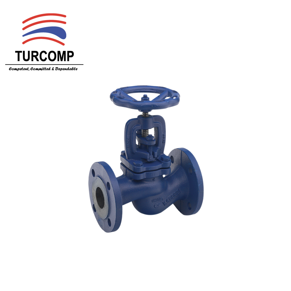 GLOBE VALVE | VARIMEX – Turcomp Online Store