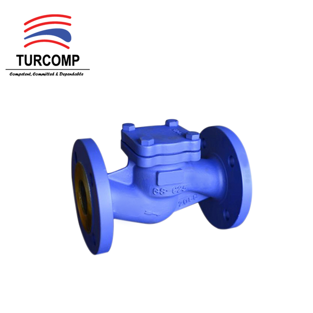 Check Valves Malaysia – Page 2 – Turcomp Online Store