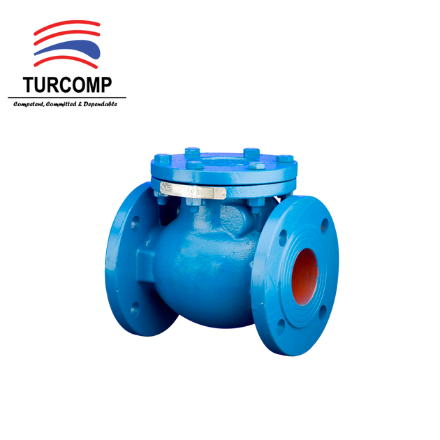 Check Valves Malaysia – Turcomp Online Store