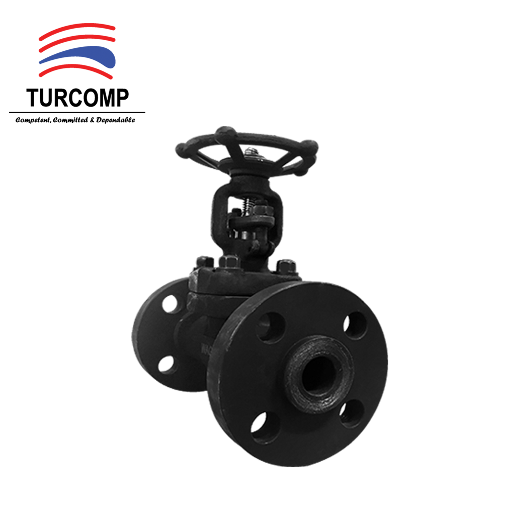 Wagi Gate Valve | Wagi Valves – Turcomp Engineering Services Sdn. Bhd.