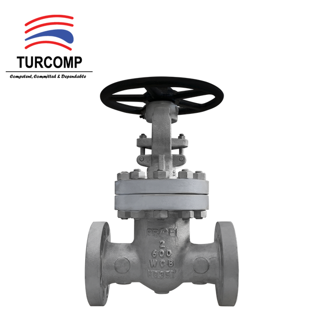 Gate Valves Supplier Malaysia – Page 5 – Turcomp Engineering Services Sdn. Bhd.