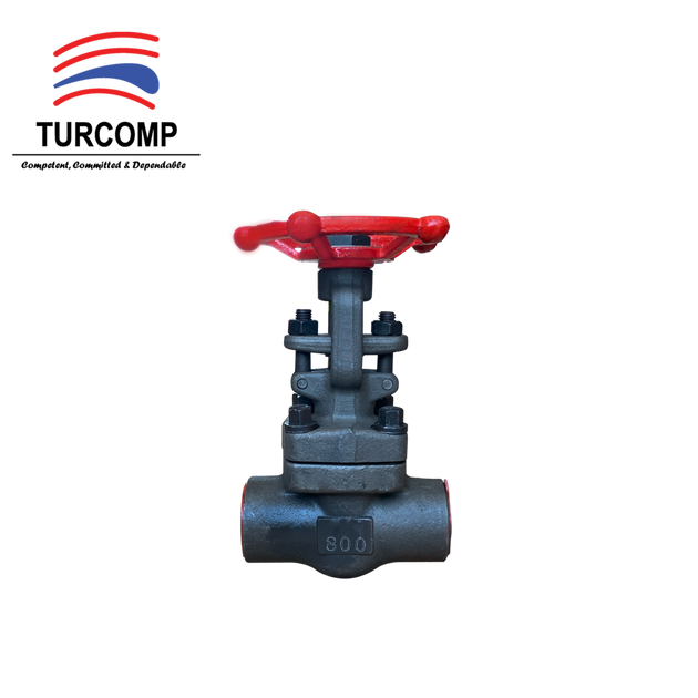 Globe Valve – Turcomp Engineering Services Sdn. Bhd.
